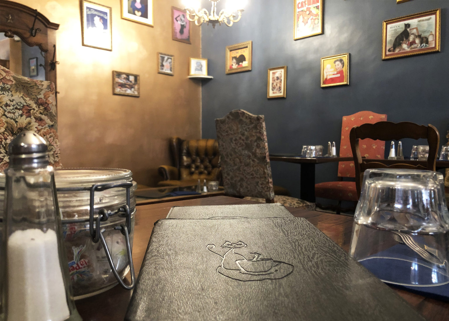 le café des chats – Un restaurant… avec des chats dedans!