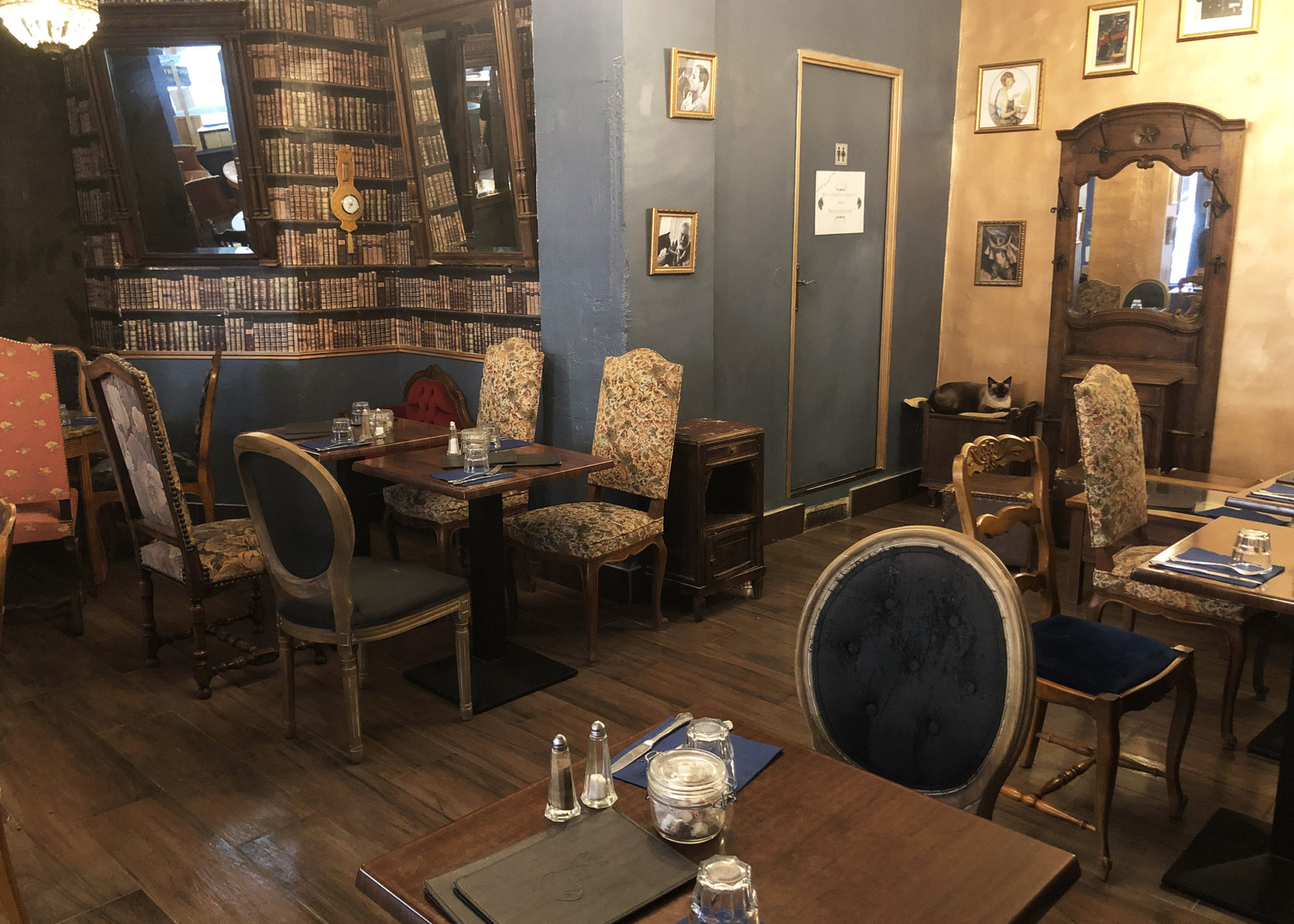 le café des chats – Un restaurant… avec des chats dedans!