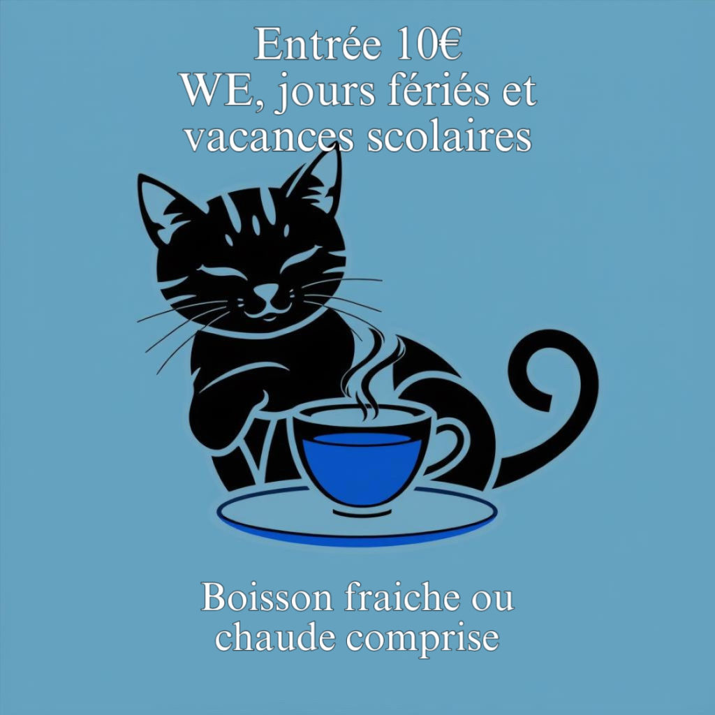 le café des chats – Un restaurant… avec des chats dedans!